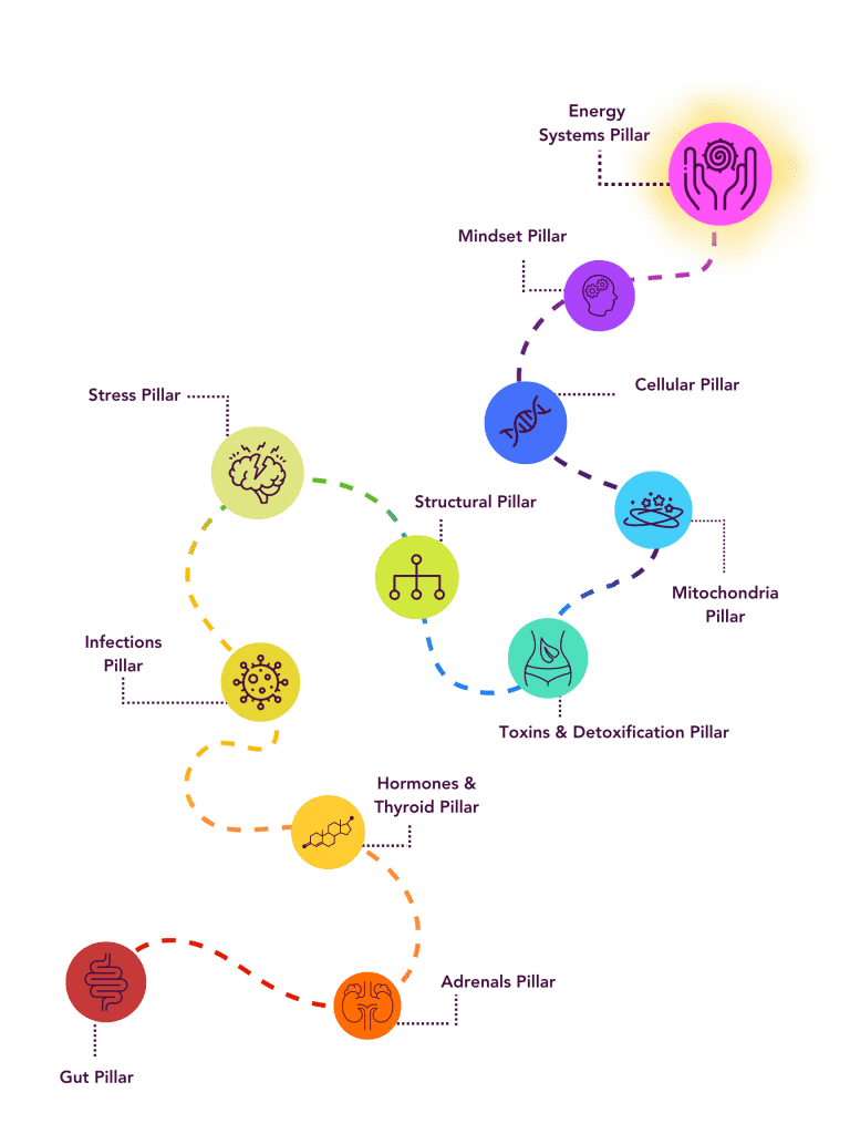 The LIT Journey: 11 Pillars Of Health - Dr. Lisa Koche